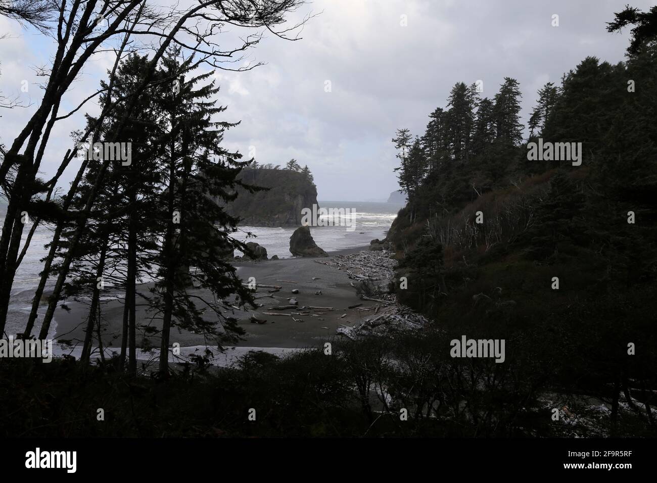 Pacific northwest Coast at autumn Stock Photo - Alamy