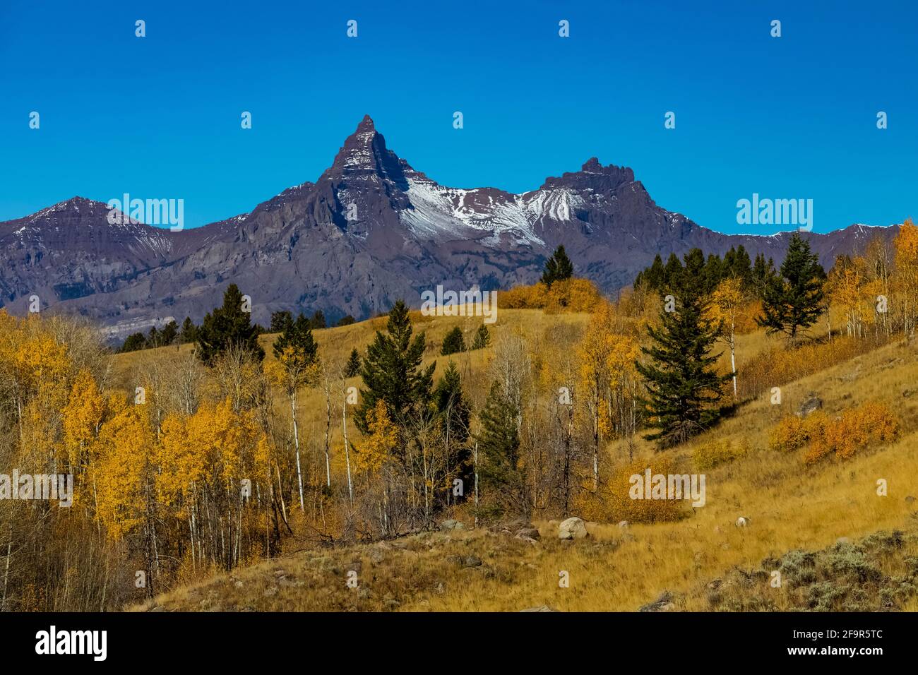 Pilot Peak (L) and Index Peak with golden aspens, viewed near Beartooth ...
