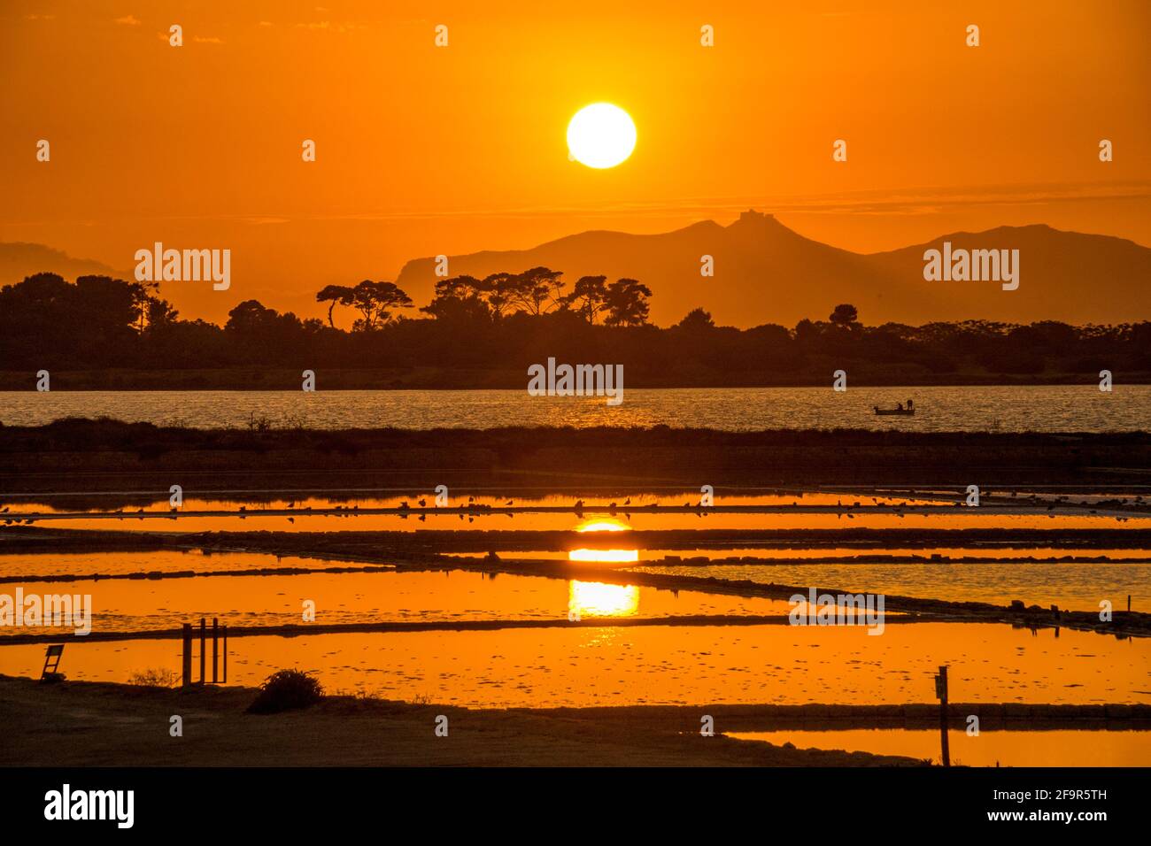 Mothia salt hi-res stock photography and images - Alamy