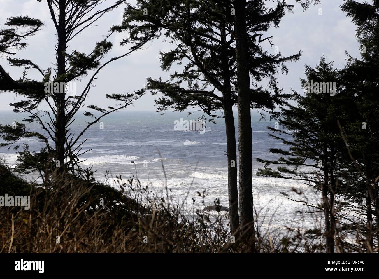 Pacific northwest Coast at autumn Stock Photo - Alamy