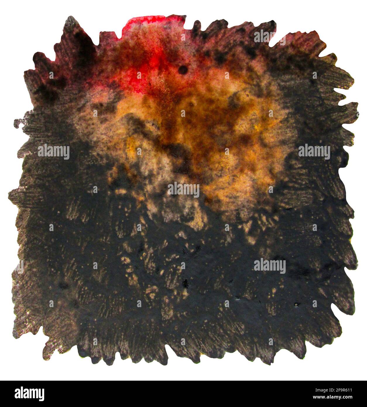 A spot of watercolors. Textured Transition of orange, brown and black ...