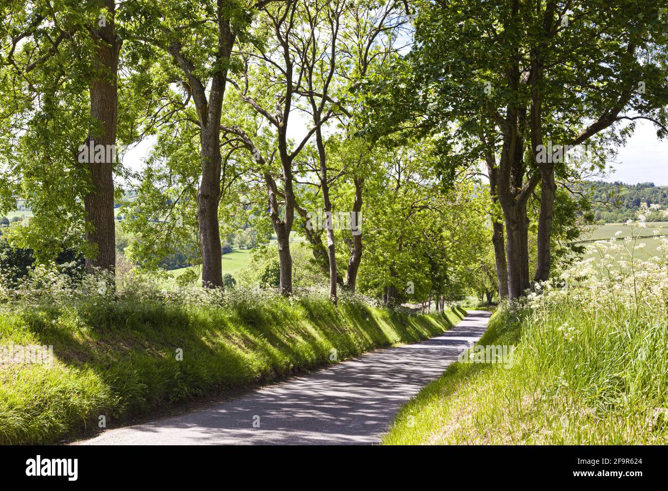 Stowell High Resolution Stock Photography and Images - Alamy