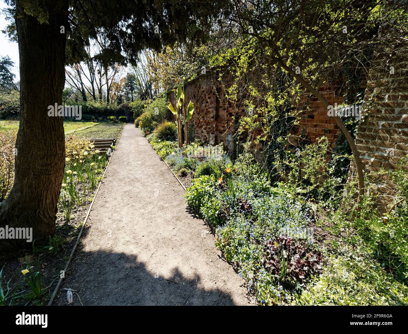 Tredegar house country park newport hi-res stock photography and images ...