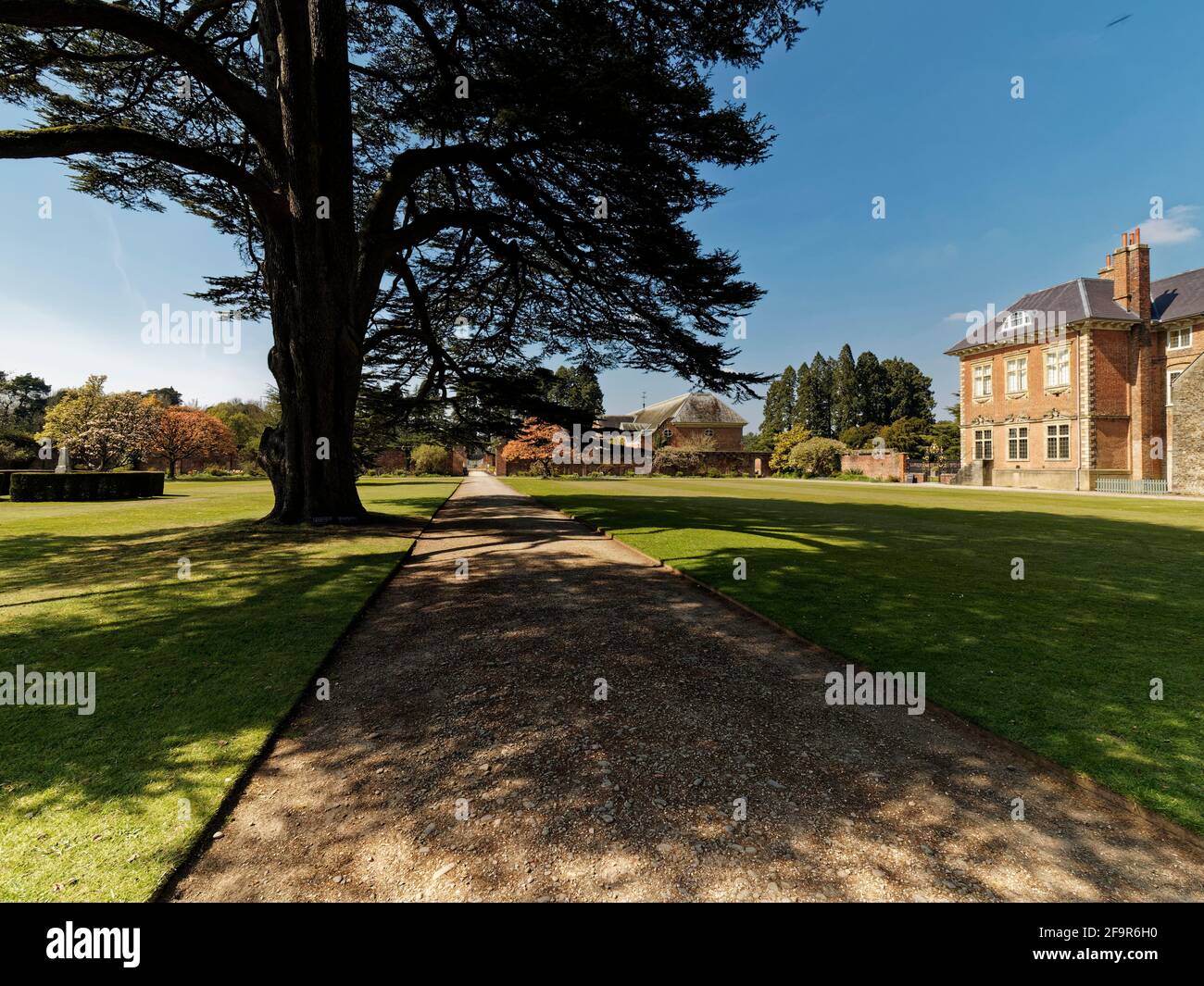 Ancient trees at tredegar house hi-res stock photography and images - Alamy
