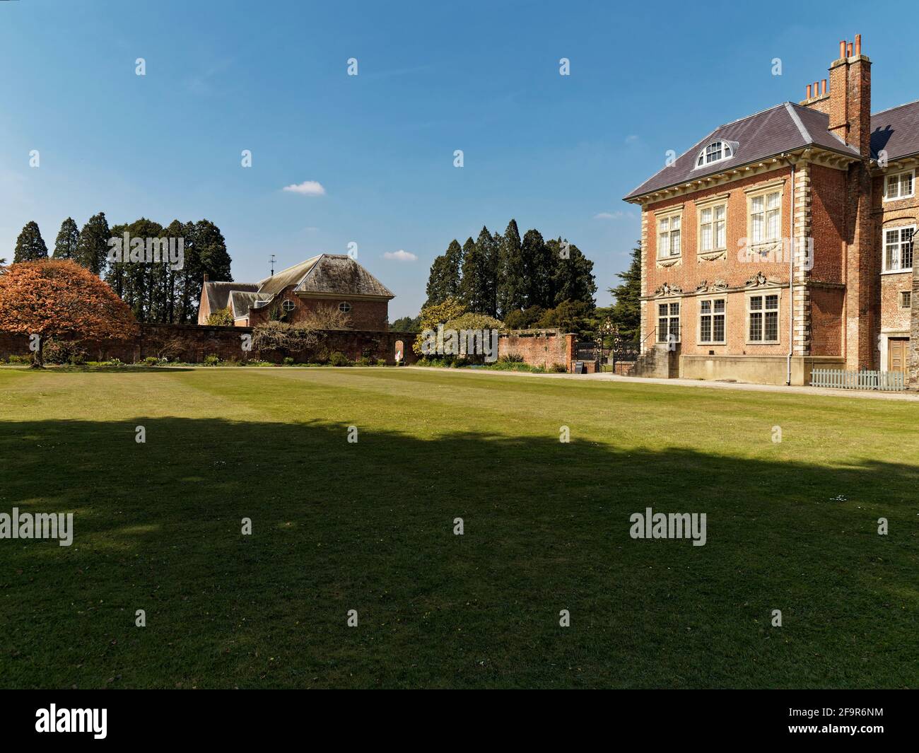 Ancient trees at tredegar house hi-res stock photography and images - Alamy