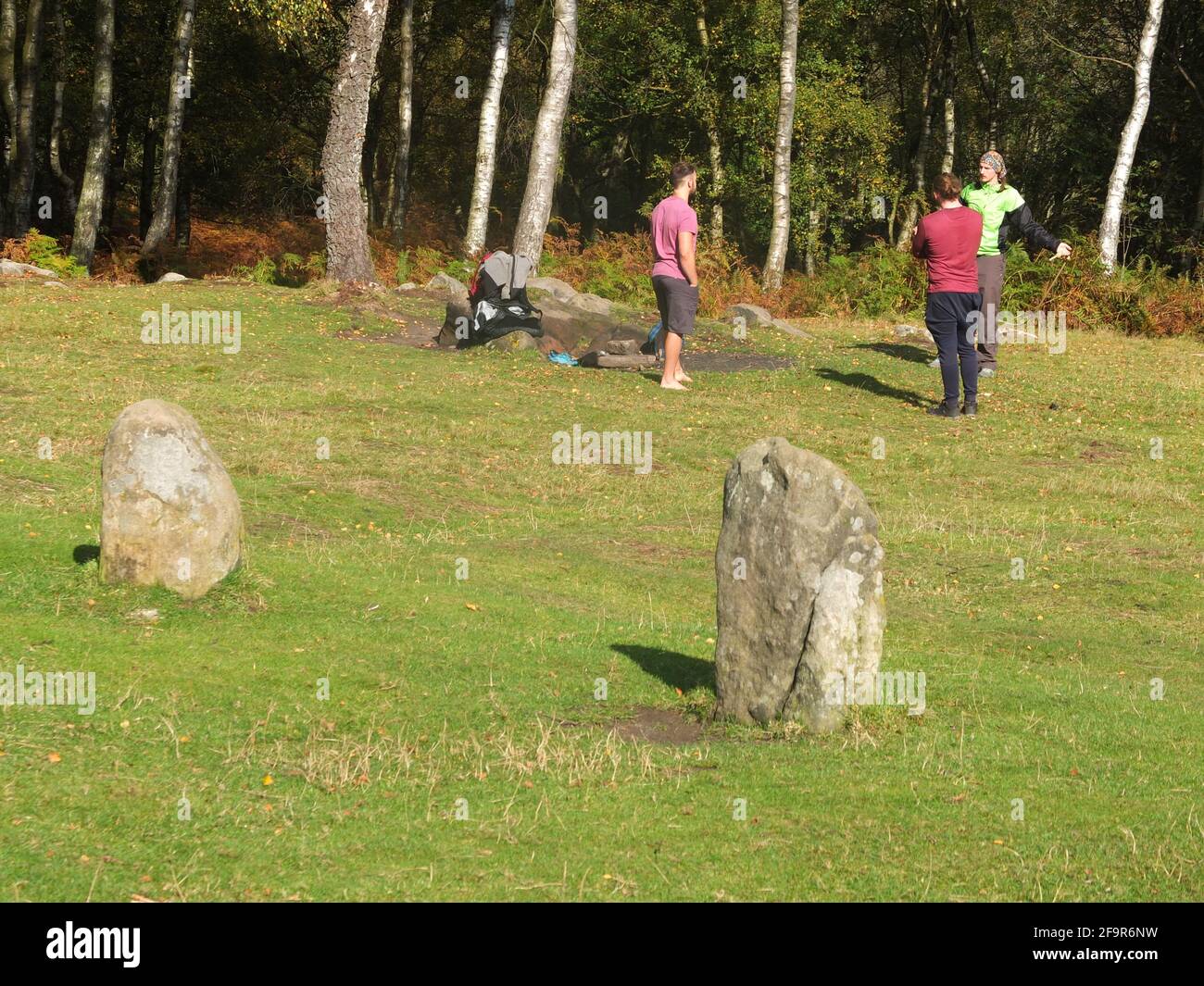 9 types hi-res stock photography and images - Alamy