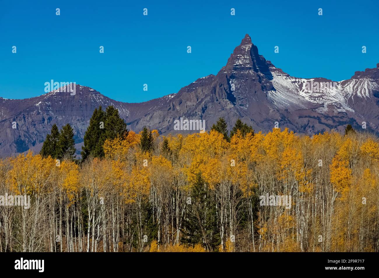 Pilot Peak (L) and Index Peak with golden aspens, viewed near Beartooth ...