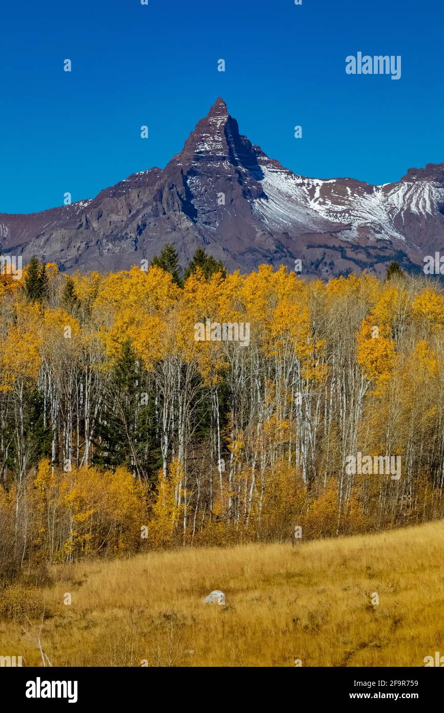 Pilot Peak (L) and Index Peak with golden aspens, viewed near Beartooth ...