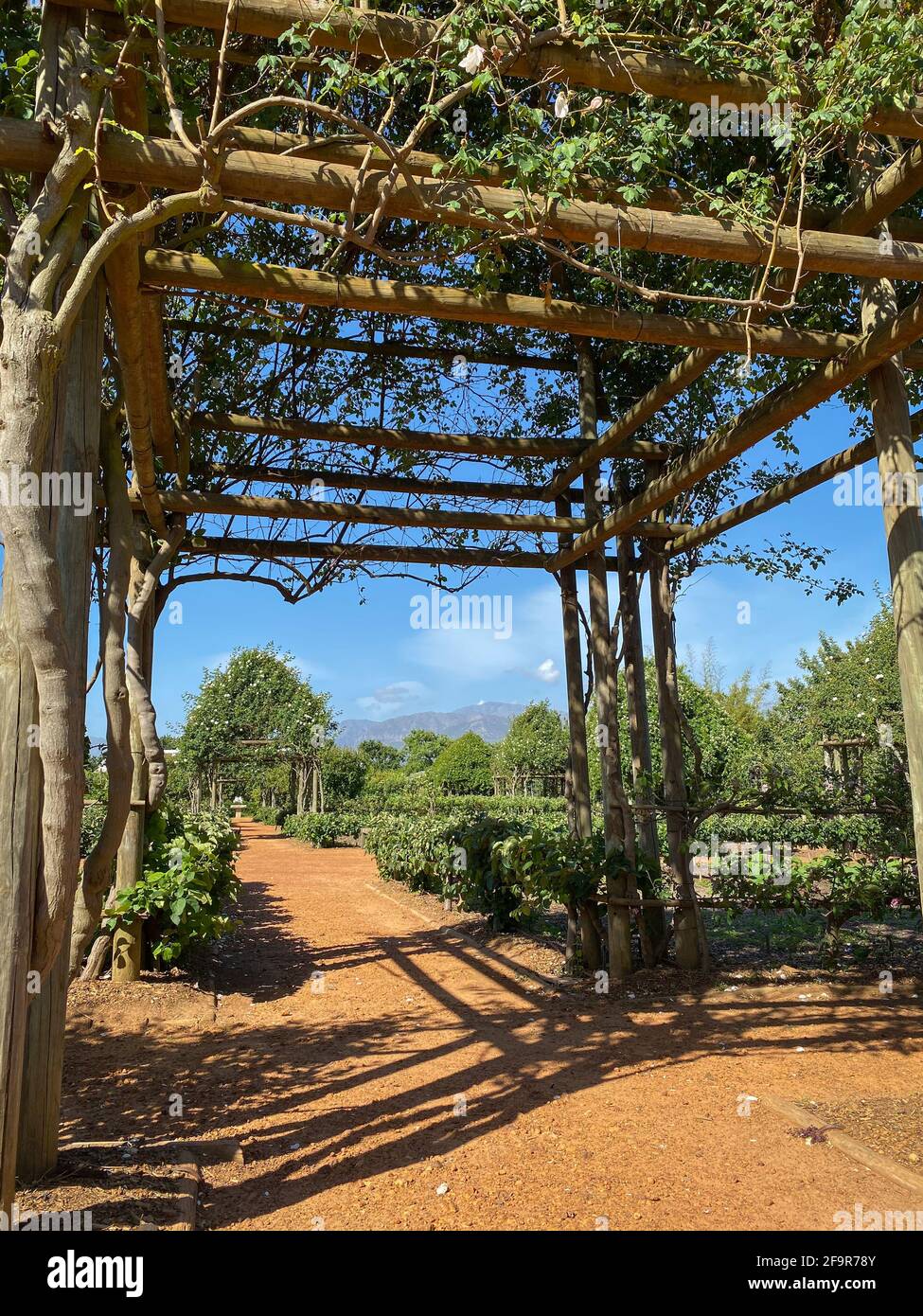 Paarl, South Africa – November 2, 2019: Formal fruit and vegetable ...