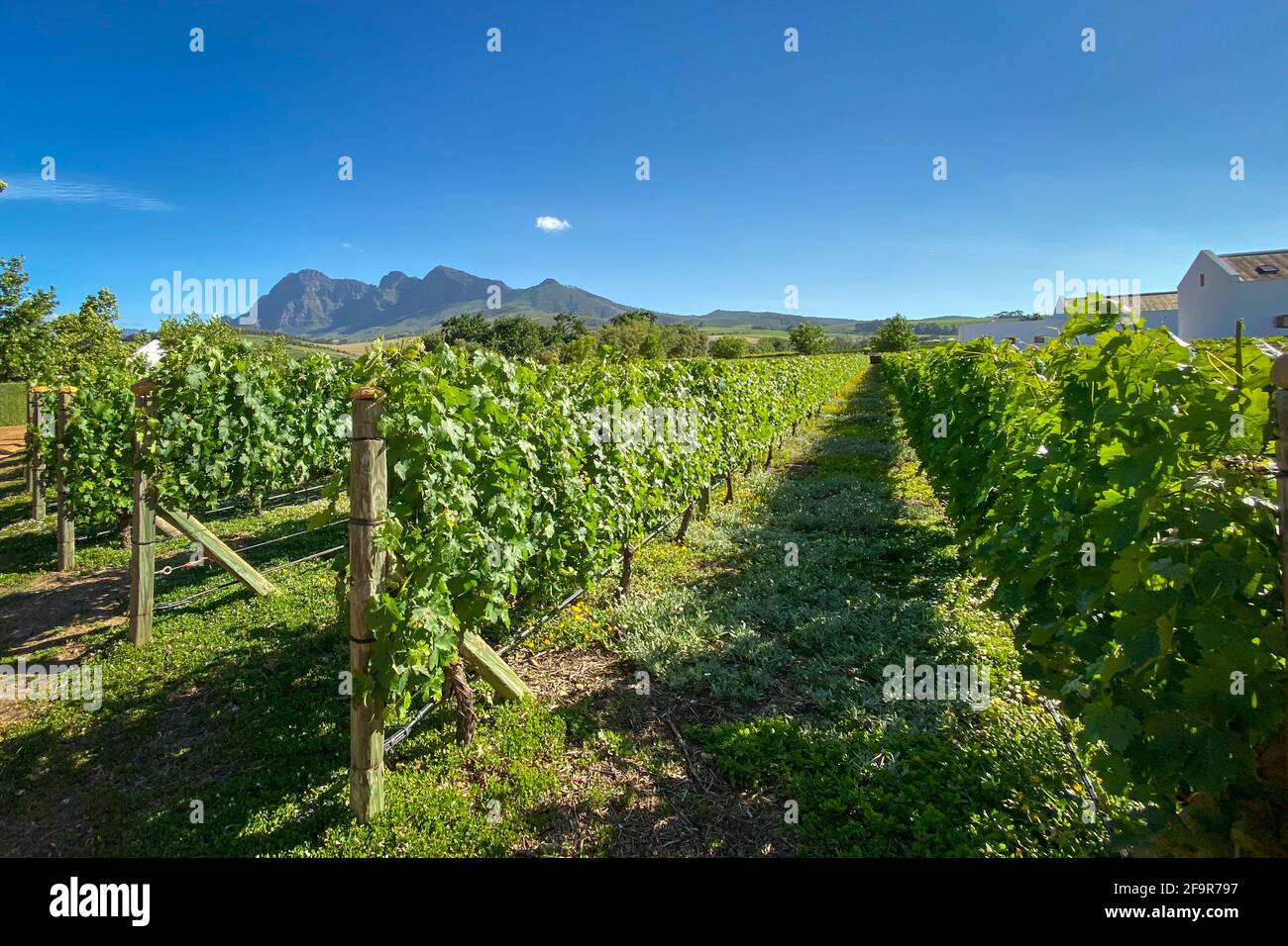 Simonsberg hi-res stock photography and images - Alamy