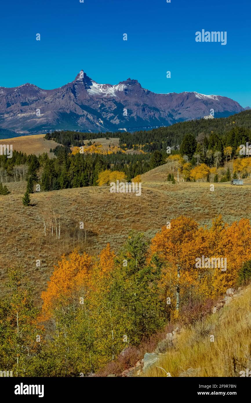 Pilot Peak (L) and Index Peak with golden aspens, viewed near Beartooth ...