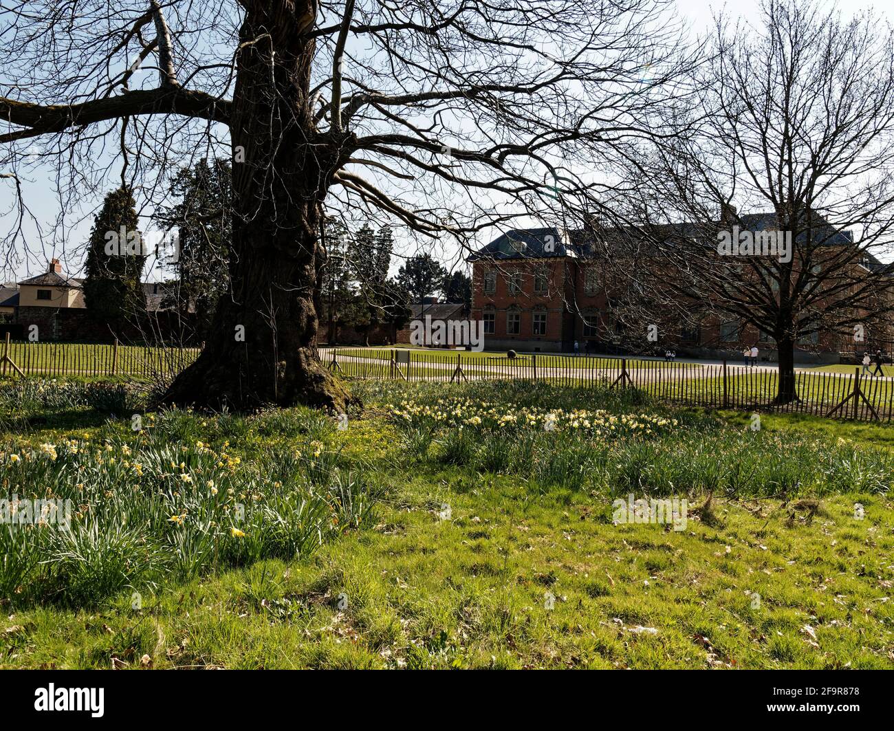 Tredegar house country park hi-res stock photography and images - Alamy
