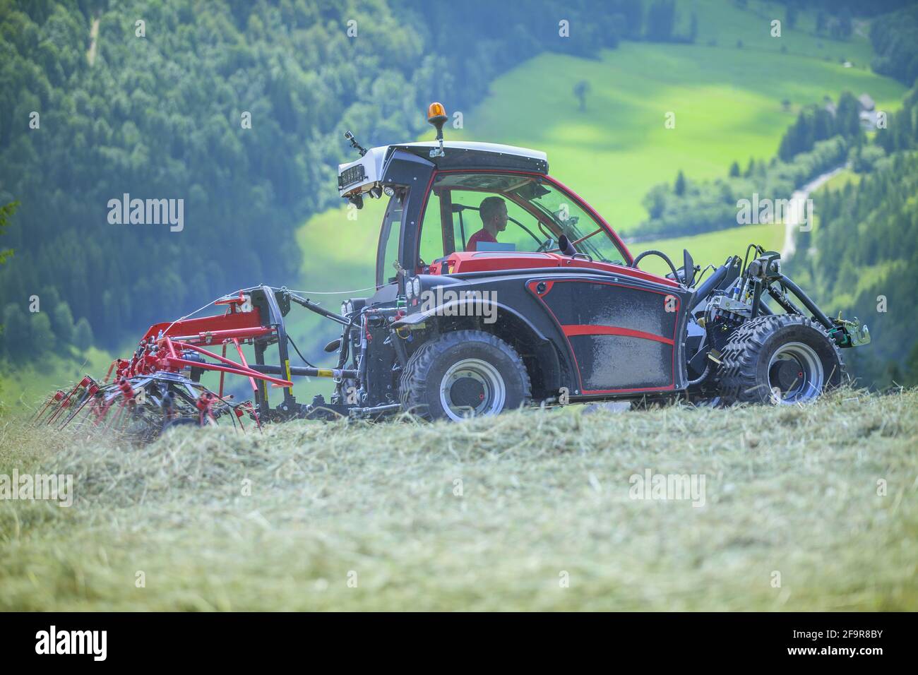LOGARSKA DOLINA, SLOVENIA - Jun 16, 2018: Different types of rakes for ...