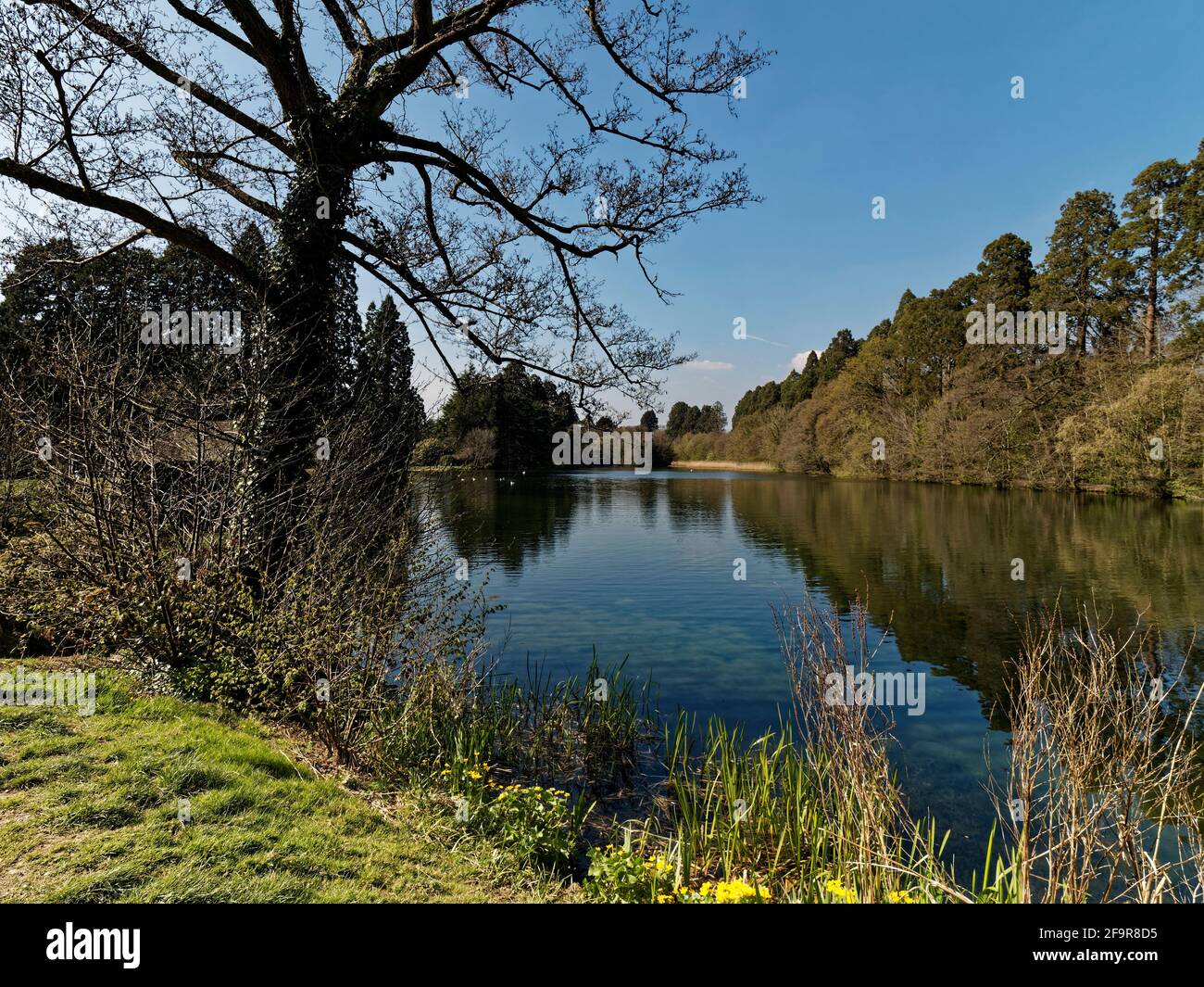 Tredegar House, Newport , Gwent, UK Stock Photo - Alamy