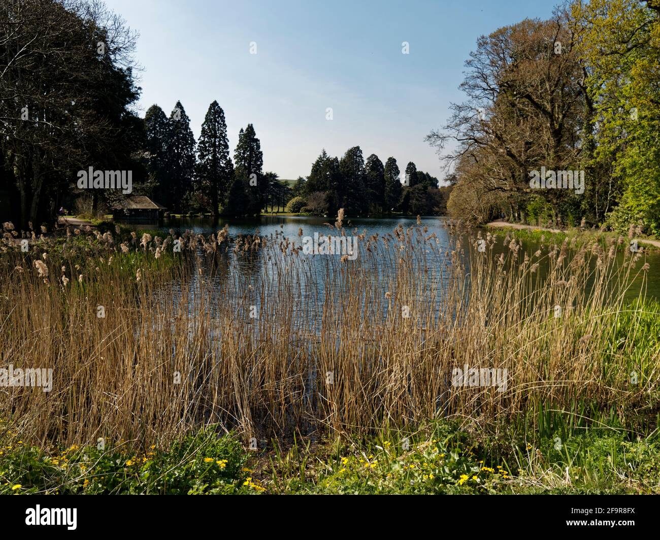 Tredegar House, Newport , Gwent, UK Stock Photo - Alamy
