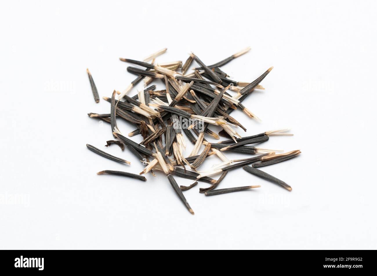 Seed tagetes hi-res stock photography and images - Alamy