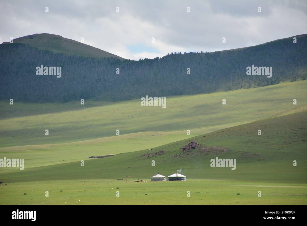 Lush green scenery in the Orkhon Valley area of central Mongolia in ...