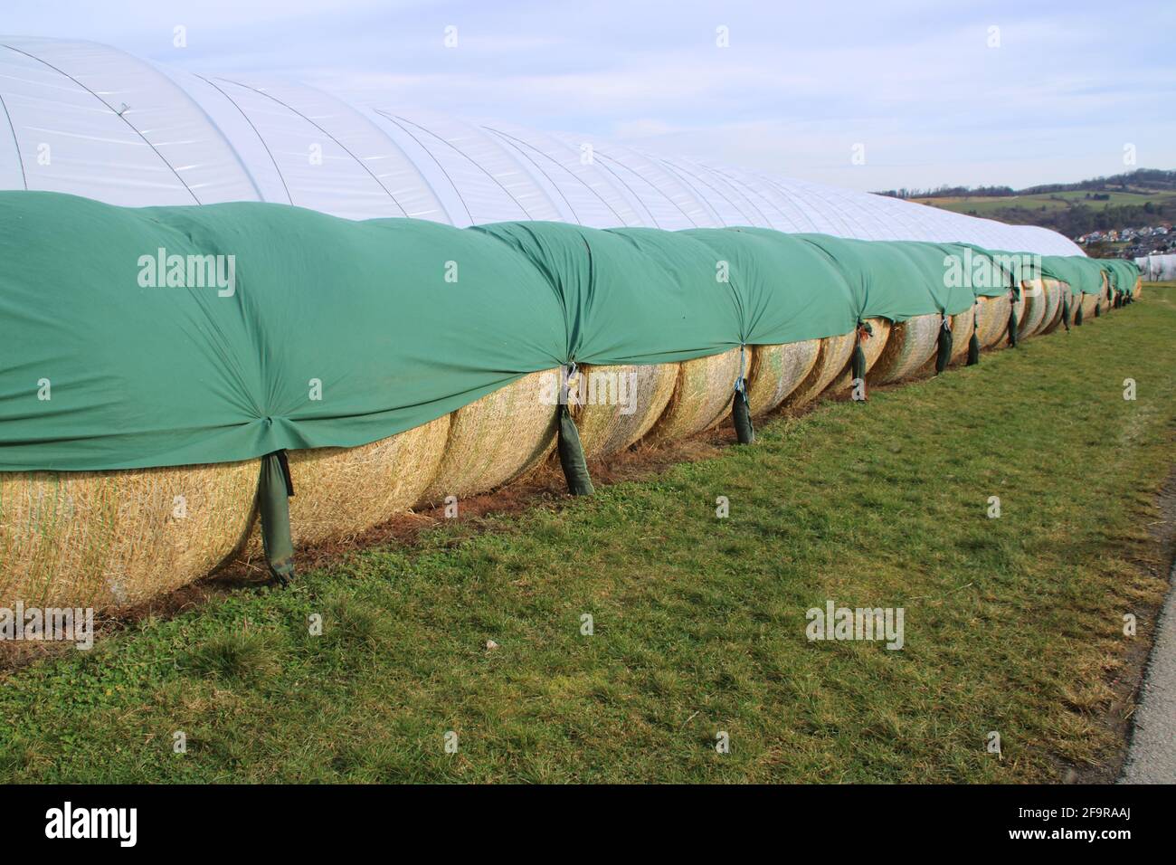 Weather protected hay bales hi-res stock photography and images - Alamy