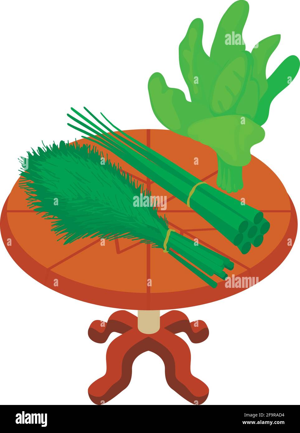Green vegetable icon. Isometric illustration of green vegetable vector ...