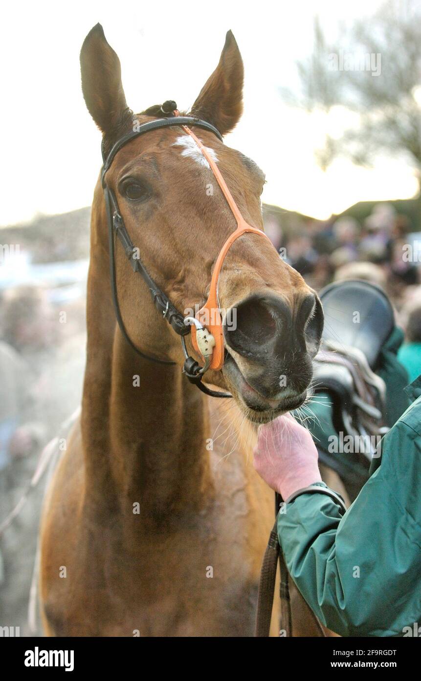 George chase hi-res stock photography and images - Alamy