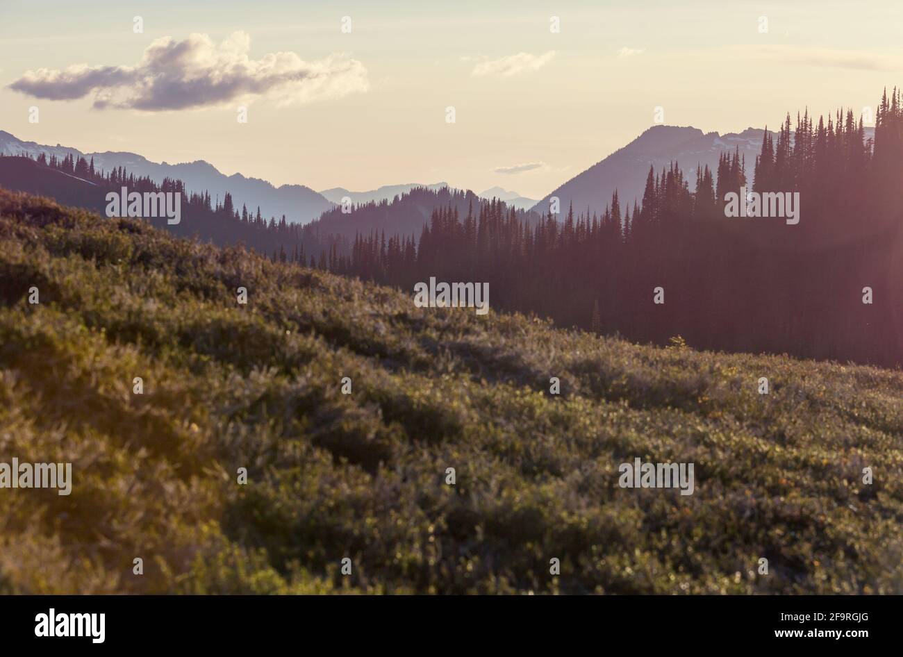 Beautiful mountain peak in North Cascade Range, Washington, USA Stock ...