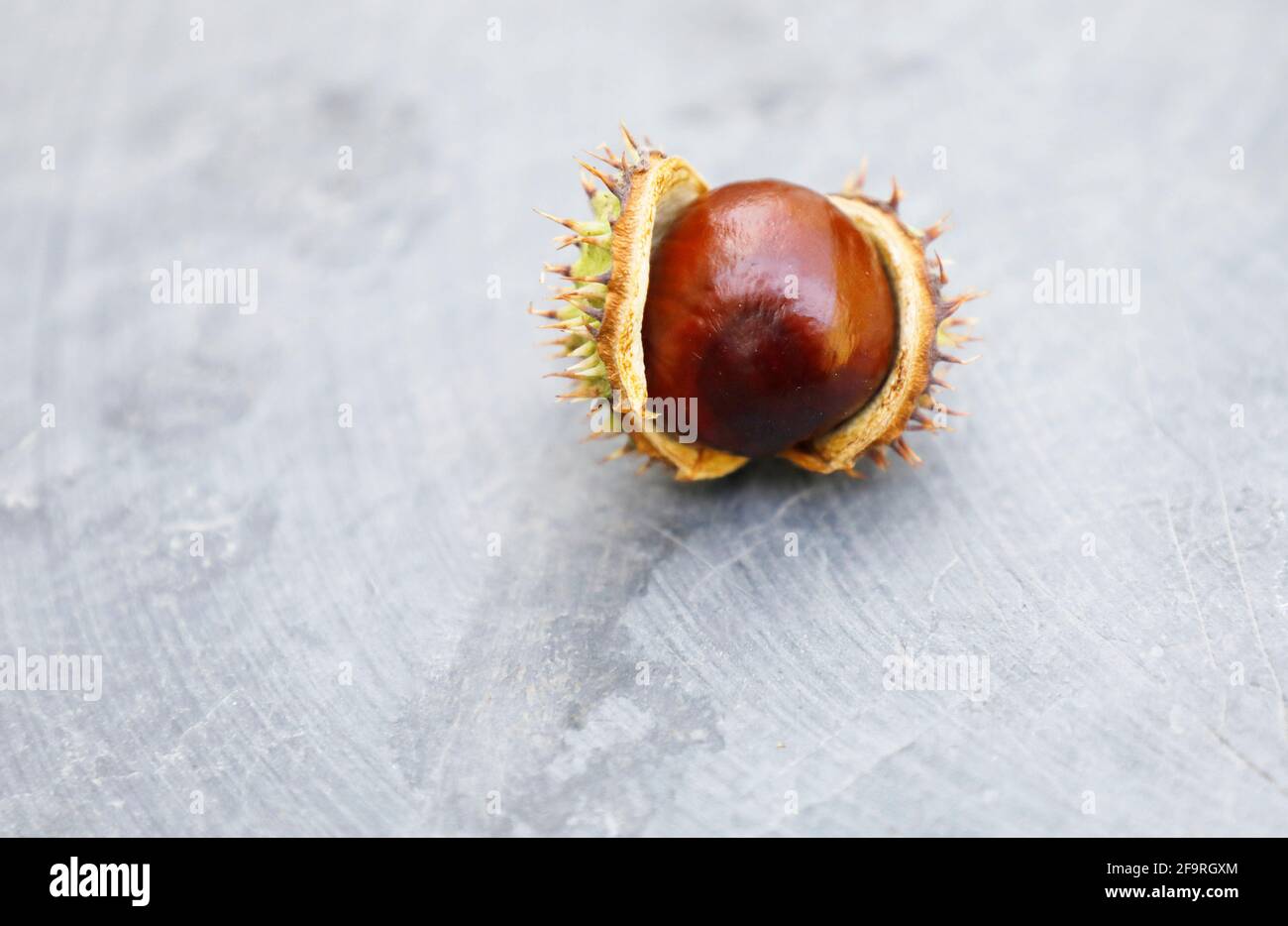 Chestnuts in the shell on a stone plate Stock Photo - Alamy