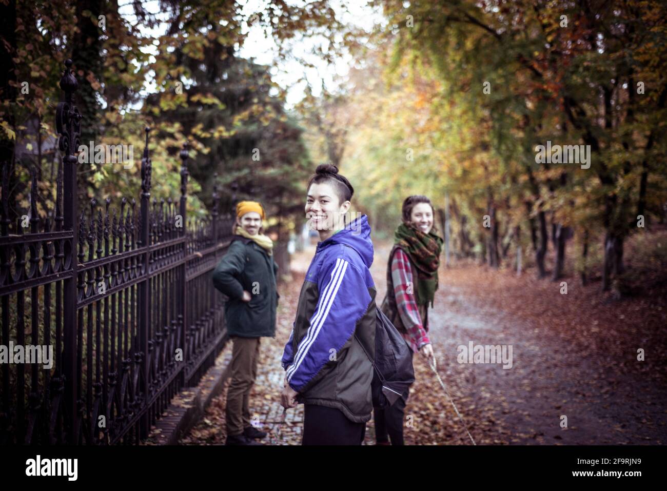 Group of friends take dogs for walk in golden autumn leaves in berlin ...
