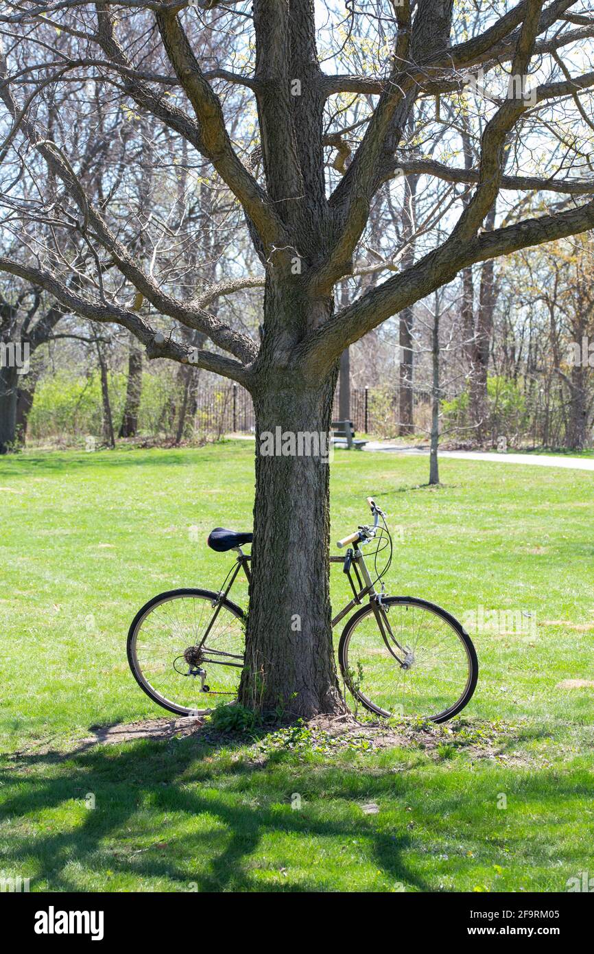 Bike leaning against tree hi-res stock photography and images - Alamy