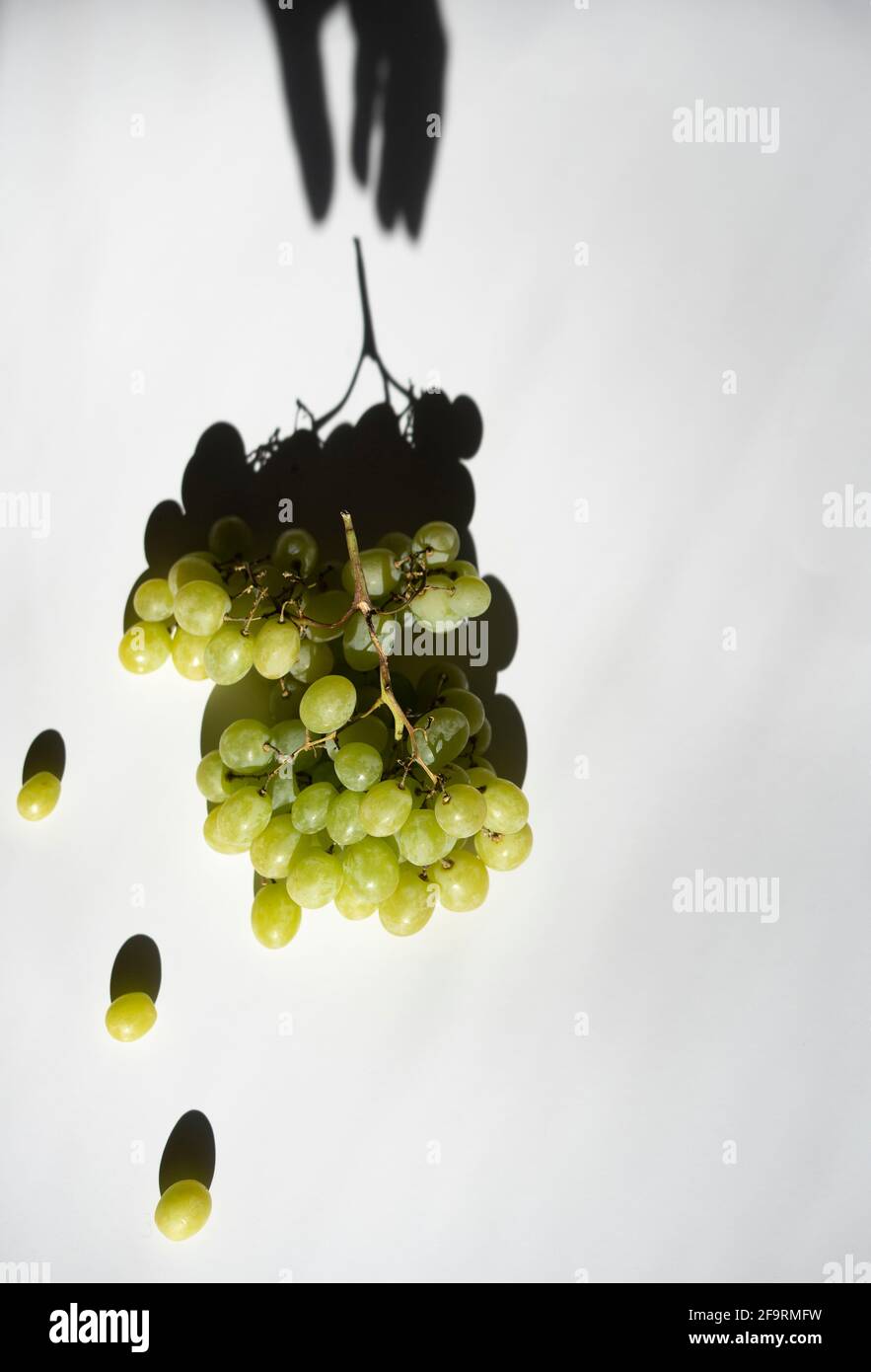 Bunch of grapes with hand shadow Stock Photo - Alamy