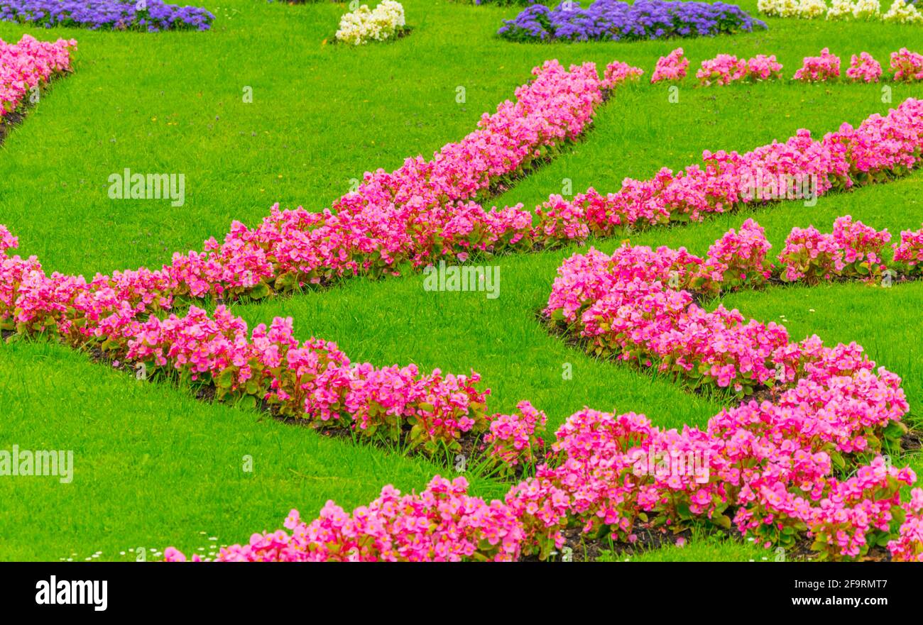 view of colorful flowers at the mirabell palace garden in Salzburg ...