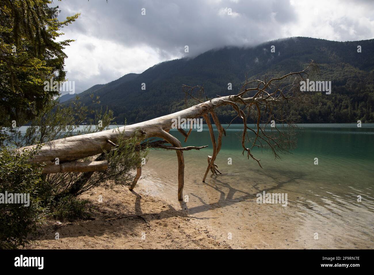 Scenic view of Lake Fuschl (Fuschlsee)Salzburg, Salzkammergut,Austria ...