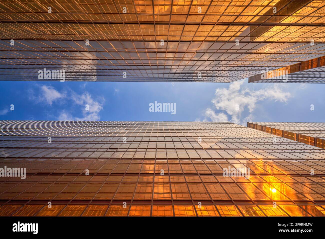 Golden lighting hi-res stock photography and images - Alamy