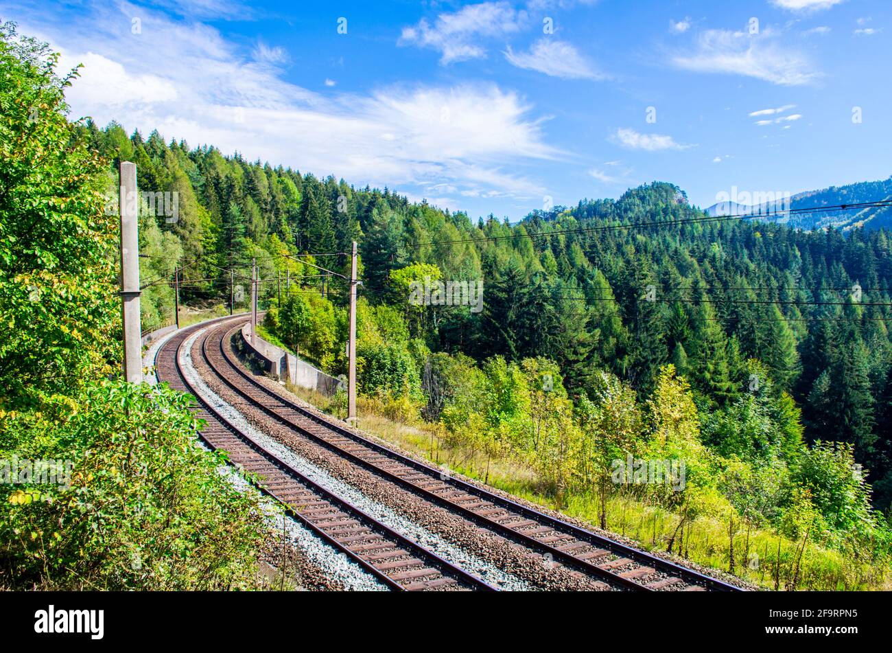 detail of semmeringbahn railroad leading through a dense forest in ...