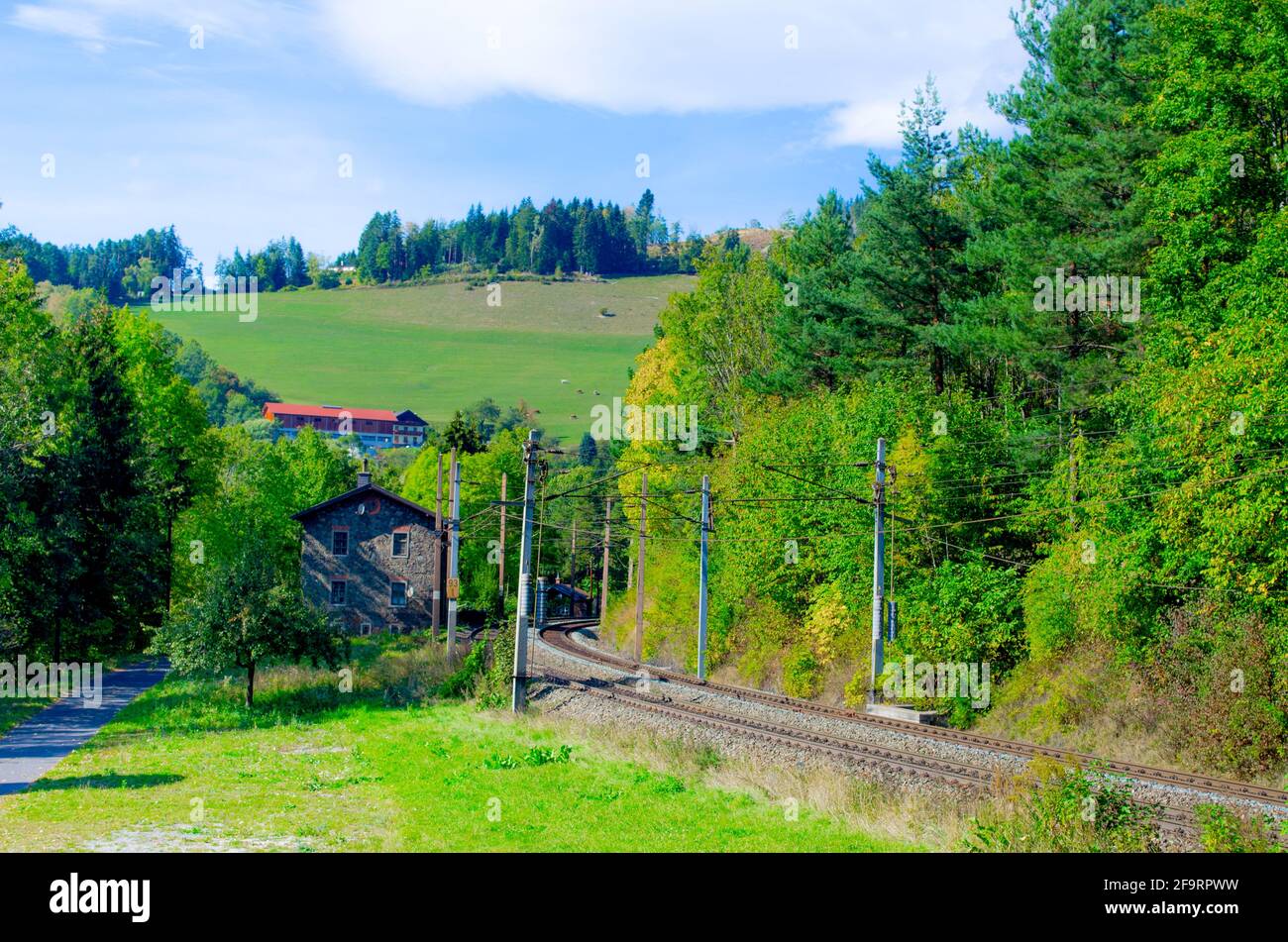 detail of semmeringbahn railroad leading through a dense forest in ...