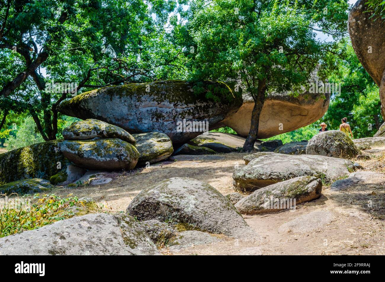 Big boulders and ecology hi-res stock photography and images - Alamy