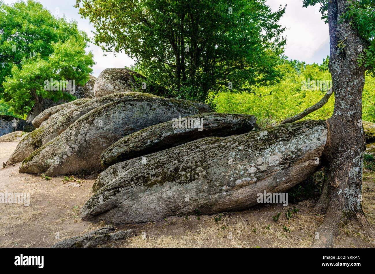 Big boulders and ecology hi-res stock photography and images - Alamy