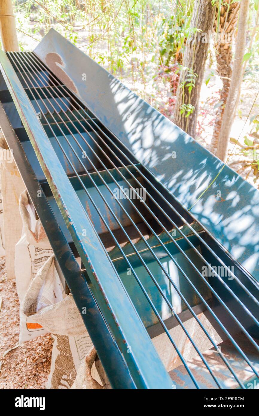 Macadamia nuts sorting machine, Guatemala Stock Photo - Alamy