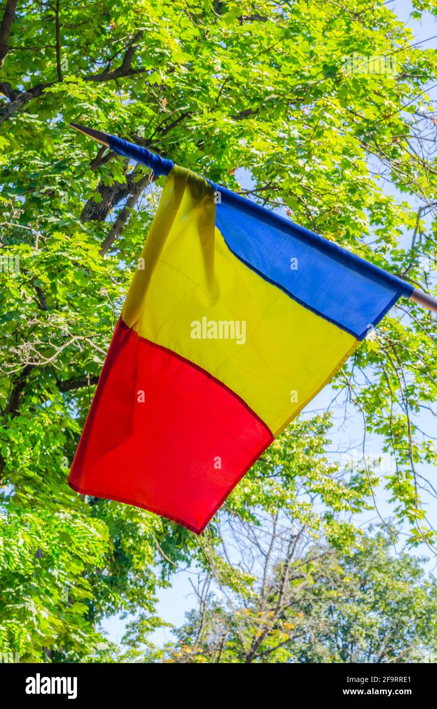 romanian flag is waving in wind with a tree behind it Stock Photo - Alamy