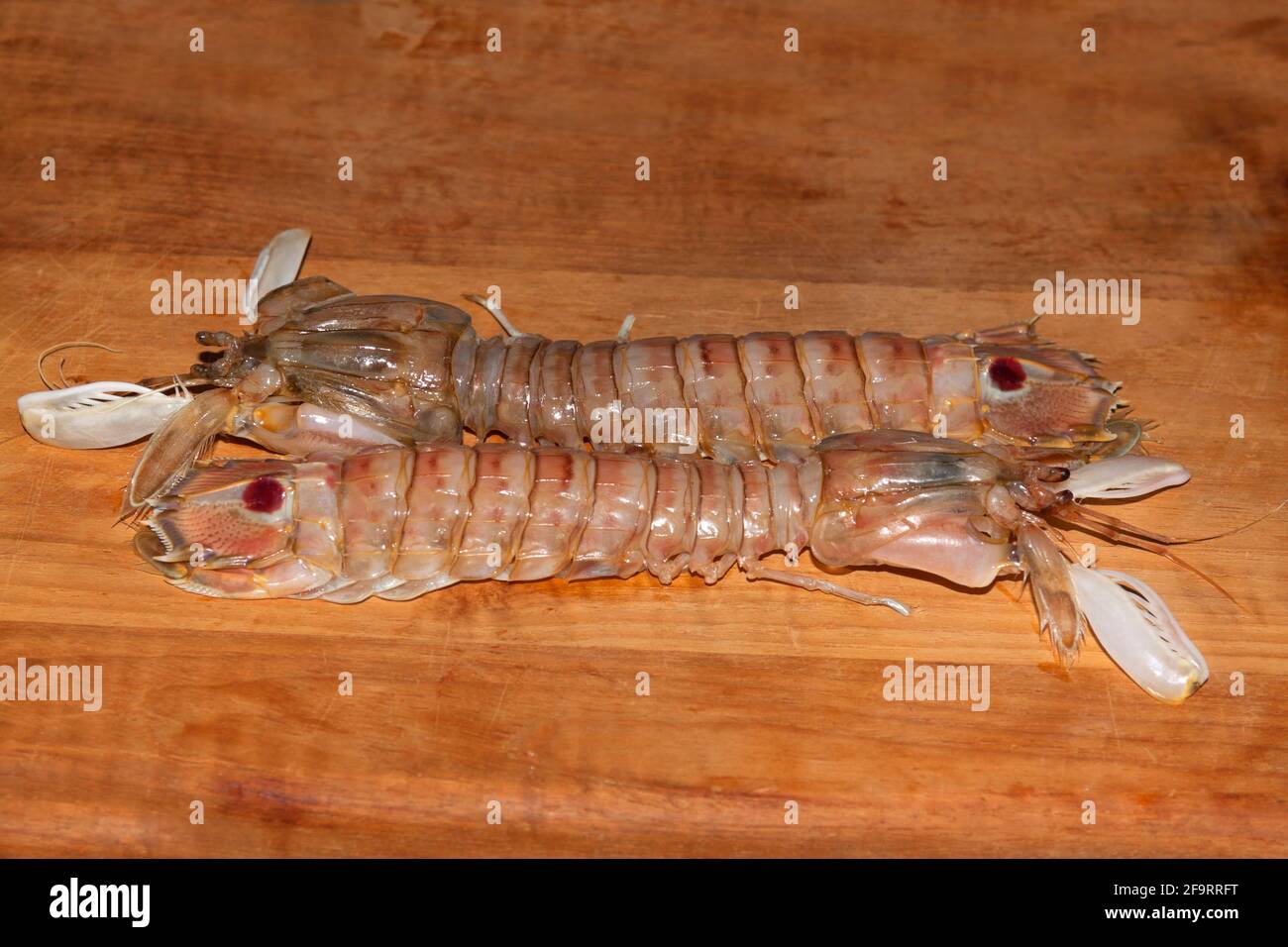 Pacchero hi-res stock photography and images - Alamy