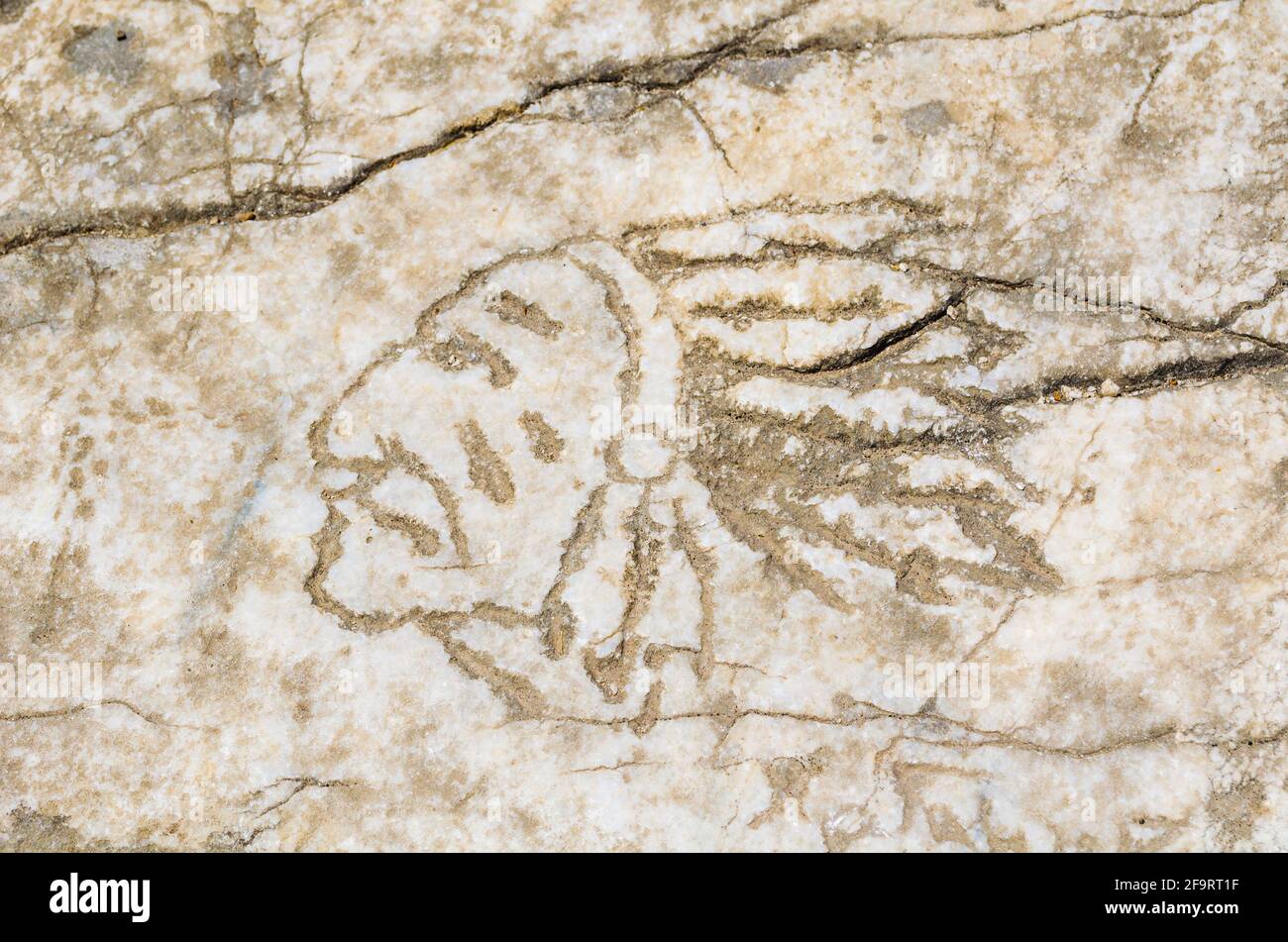 Indian faces native american hi-res stock photography and images - Alamy