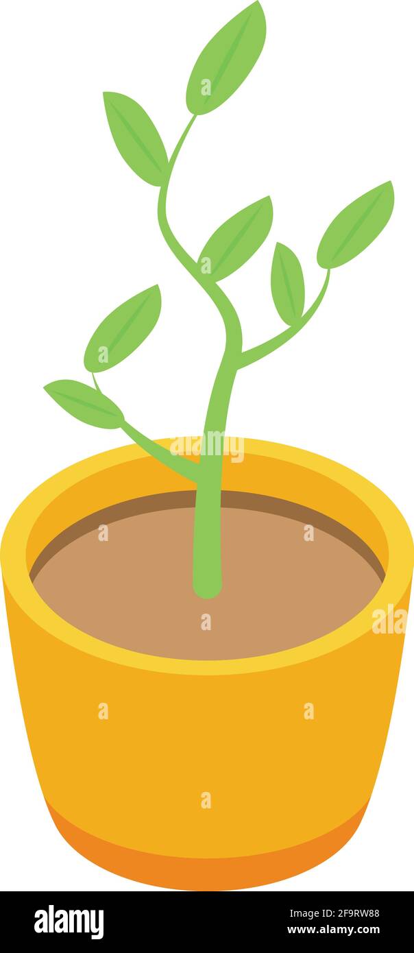 Fruit tree plant pot icon. Isometric of Fruit tree plant pot vector ...