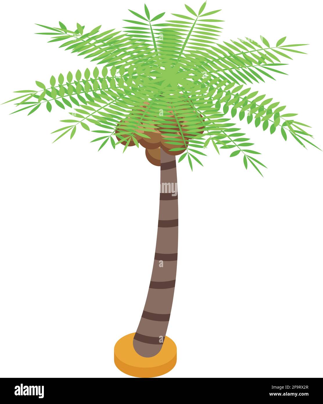 Palm fruit tree icon. Isometric of Palm fruit tree vector icon for web ...
