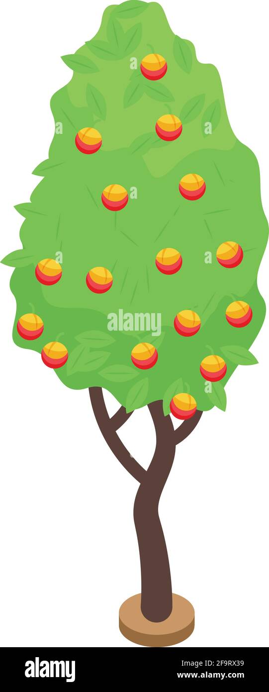 Peach fruit tree icon. Isometric of Peach fruit tree vector icon for ...