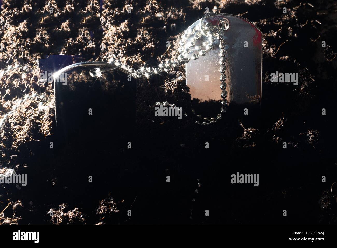 Empty army token of dead military soldier lies on the ground Stock ...
