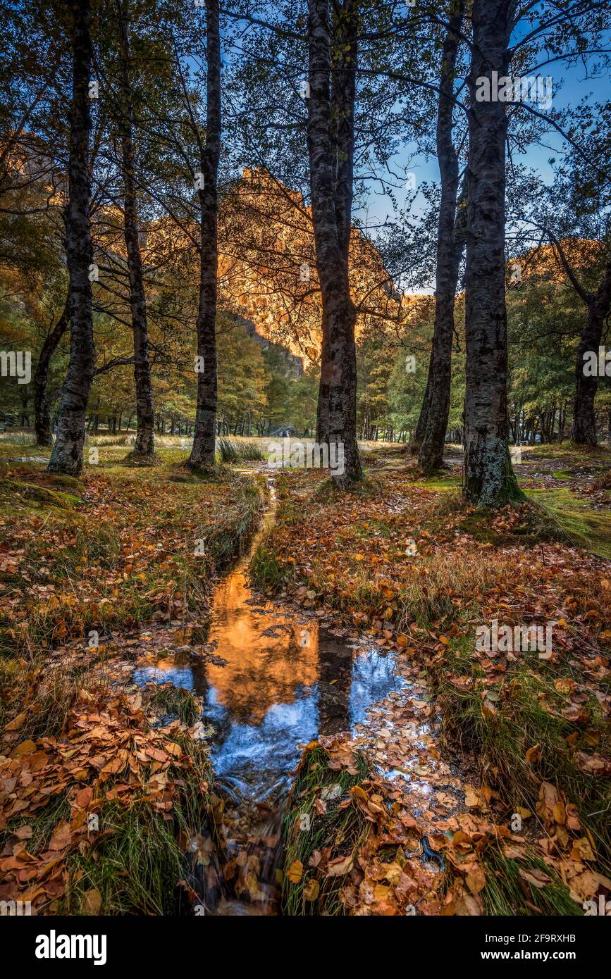 the golden path up to the mountain Stock Photo - Alamy