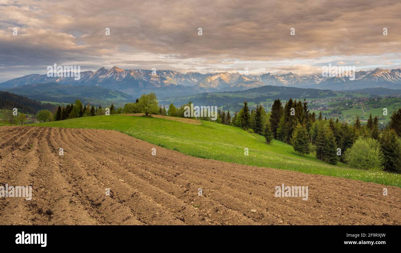 view of the Tatra Mountains from Czarna Góra (Podhale) in spring Stock ...