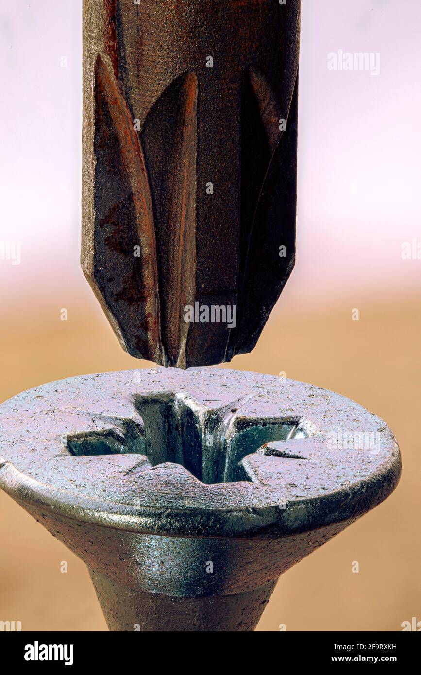Closeup of a self-tapping screw for wood. Screw with thread - fasteners ...
