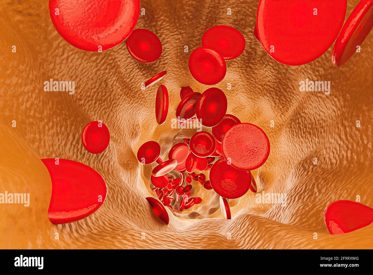 interior of a vein with cholesterol and red blood cells Stock Photo - Alamy