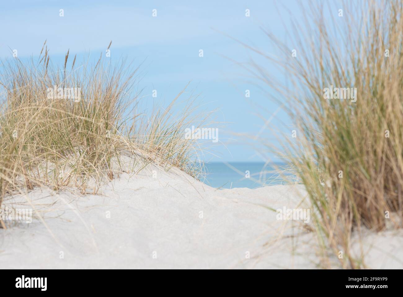 Baltic sea dunes over blue coastline background in Northern Germany ...