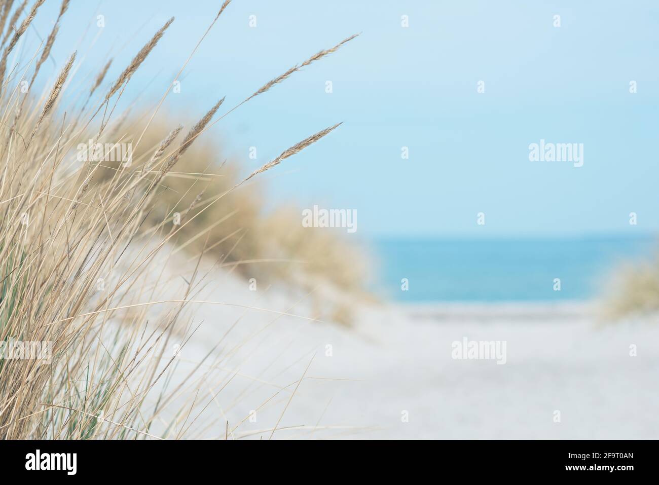 Baltic sea dunes over blue coastline background in Northern Germany ...
